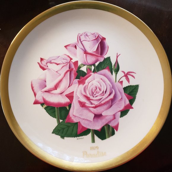 Other | 1979 Paradise Hybrid Tea Roses | Poshmark